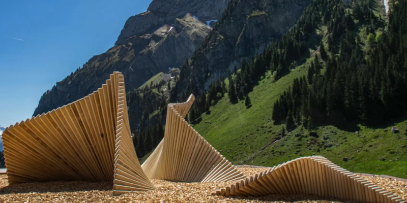 Landscape Timbers, Strucural Timber, Water resistant wood