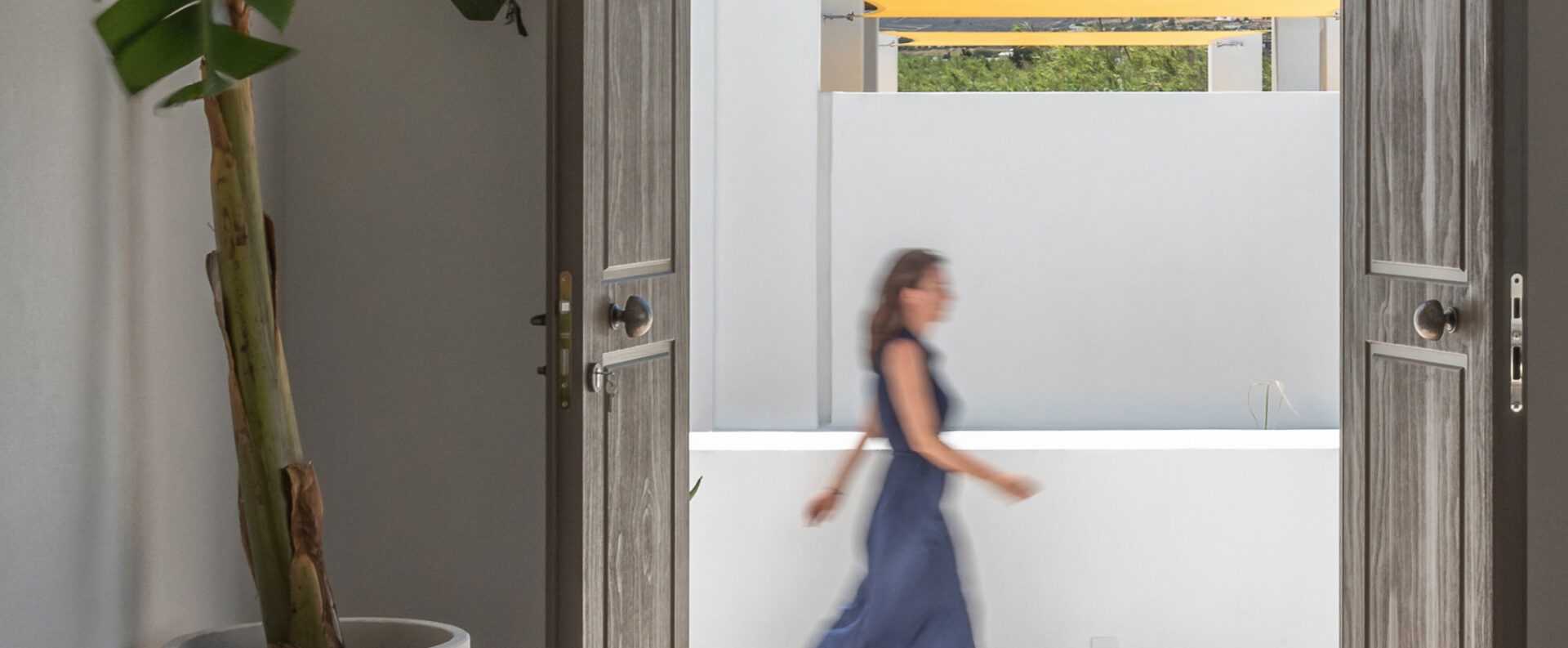 Accoya Wooden Doors, Wood Doors, External and Internal wooden doors