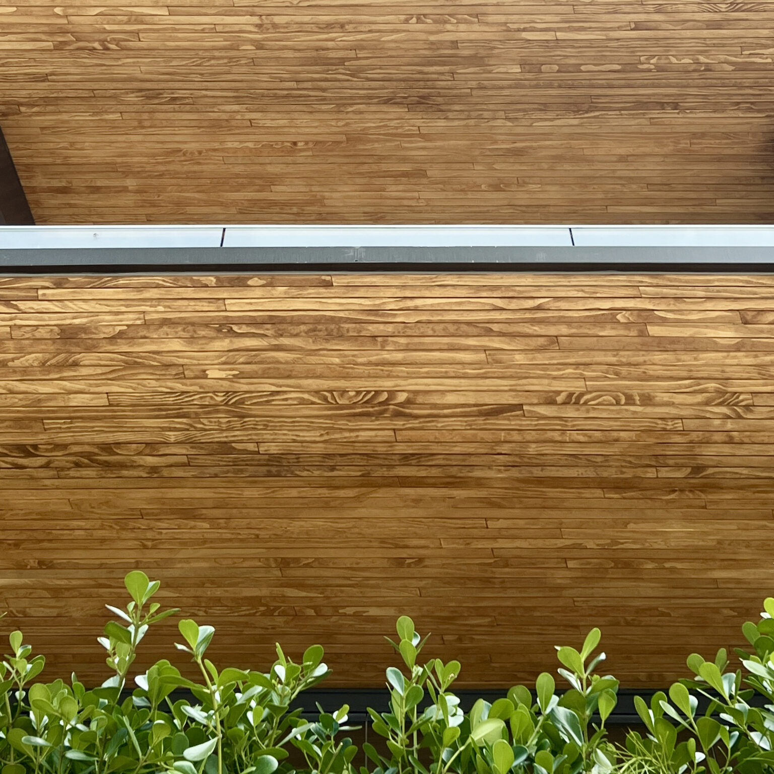 Accoya cladding for Copacabana beach landmark - Accoya Acetylated Wood ...
