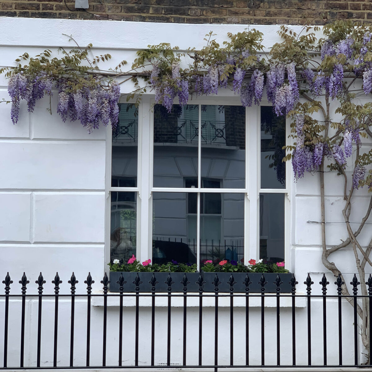 Accoya window upgrade for North London family home - Accoya Acetylated ...