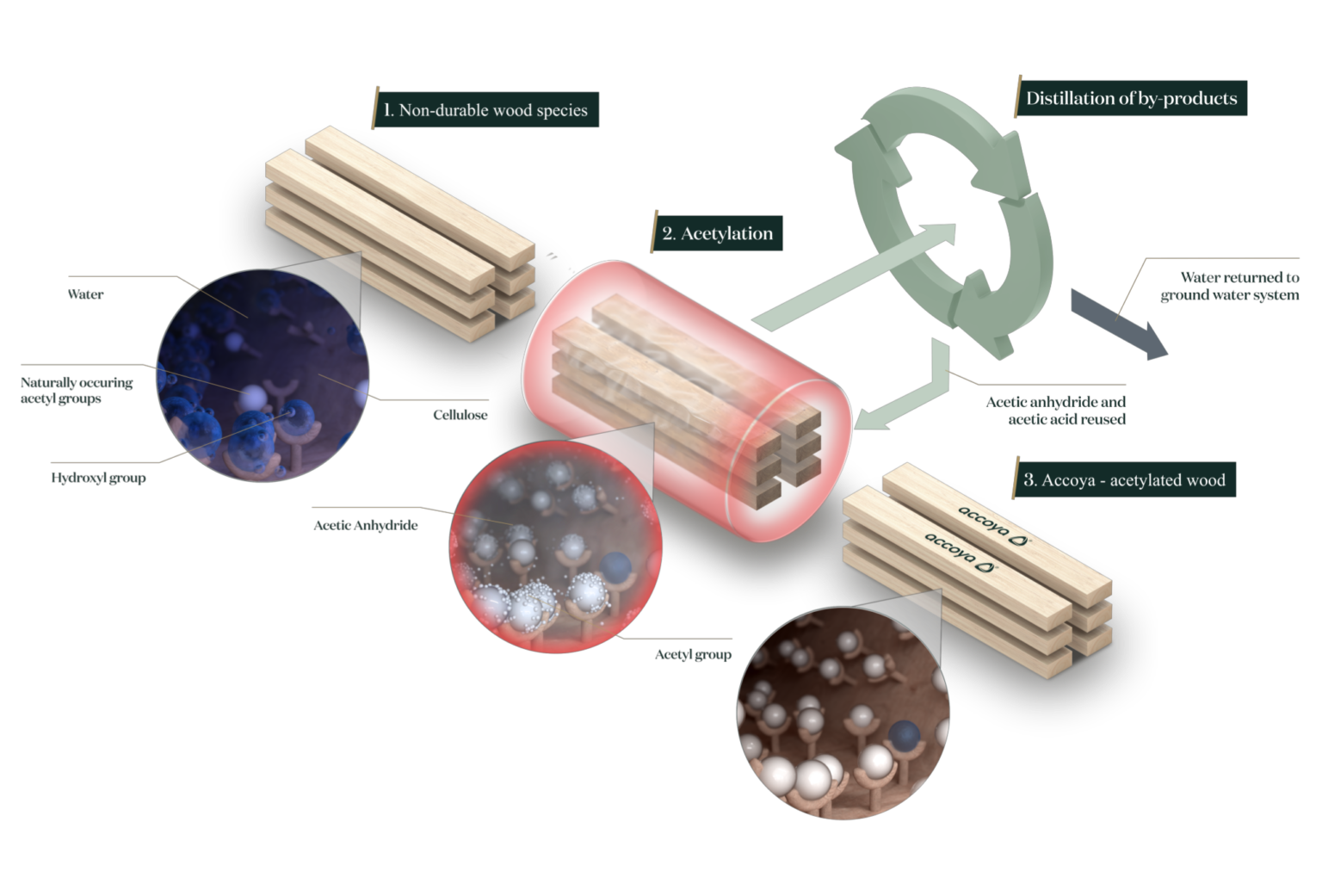 Acetylated wood, Wood technology, Acetylation, non-toxic wood treatment