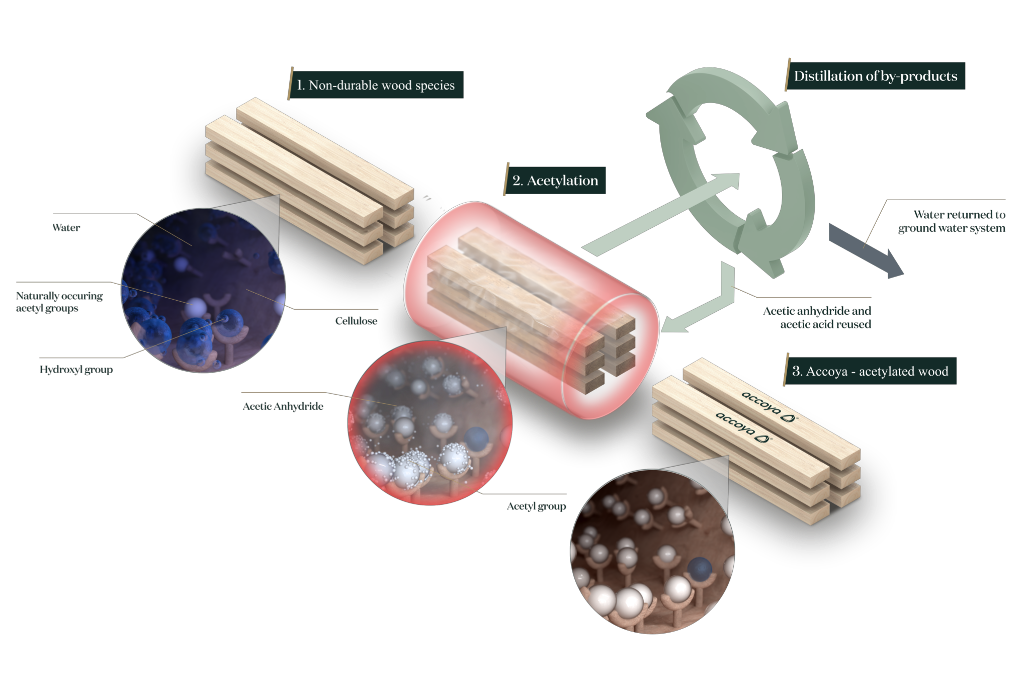 Acetylated wood, Wood technology, Acetylation, non-toxic wood treatment